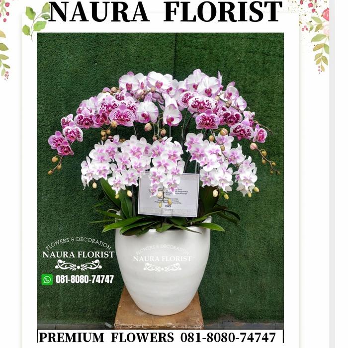 Jual Bunga anggrek/rangkaian anggrek/anggrek bulan/bunga asli/premium ...
