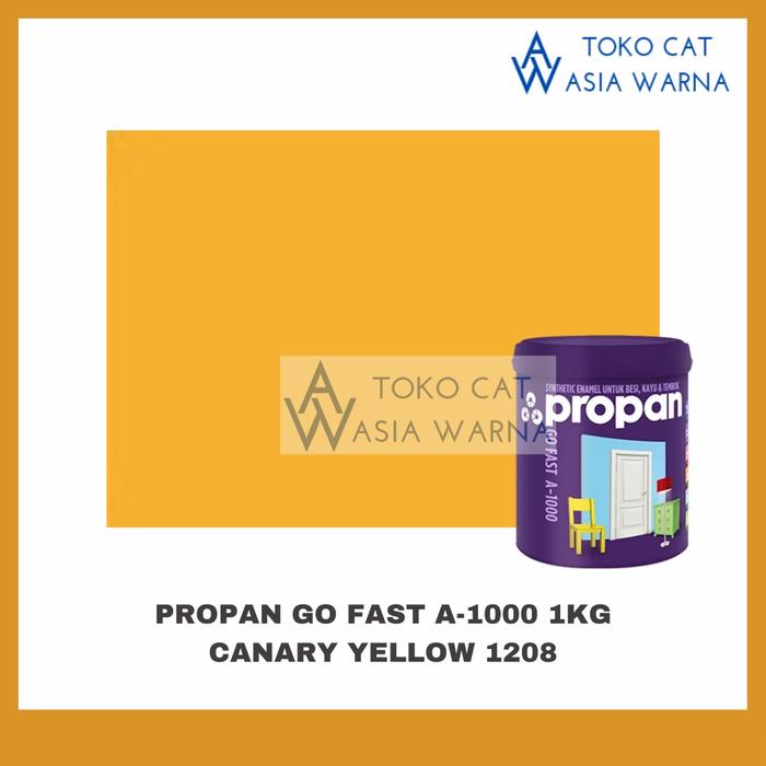 Jual PROPAN GO FAST A 1000 CAT BESI KAYU TEMBOK WATERBASED 1 KG ...