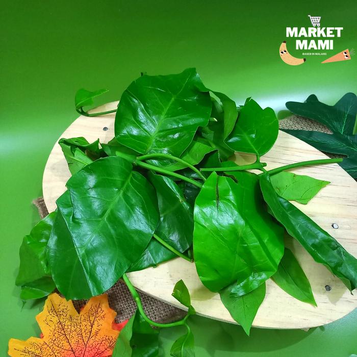 Jual DAUN SO / DAUN MELINJO 100GRAM - Kota Malang - marketmami | Tokopedia