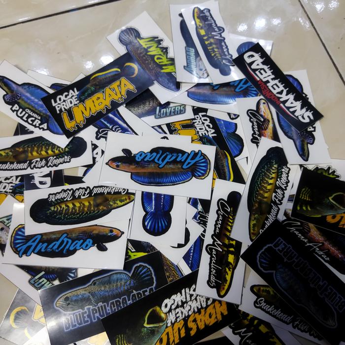 Jual stiker channa - Kota Pekalongan - Guppybex farm | Tokopedia