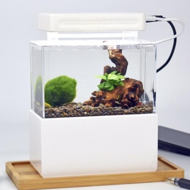 Jual Jual Mini Complete Tank aquarium mini kecil Lampu biru putih air ...