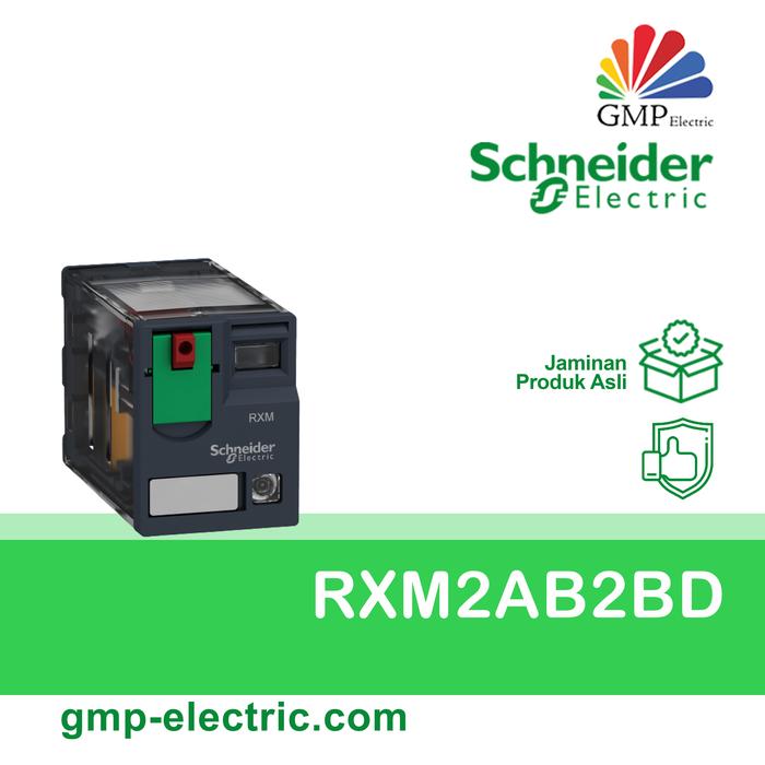 Jual RXM2AB2BD Relay Schneider 2 C/O 8pin 24VDC 12A dengan LED ...