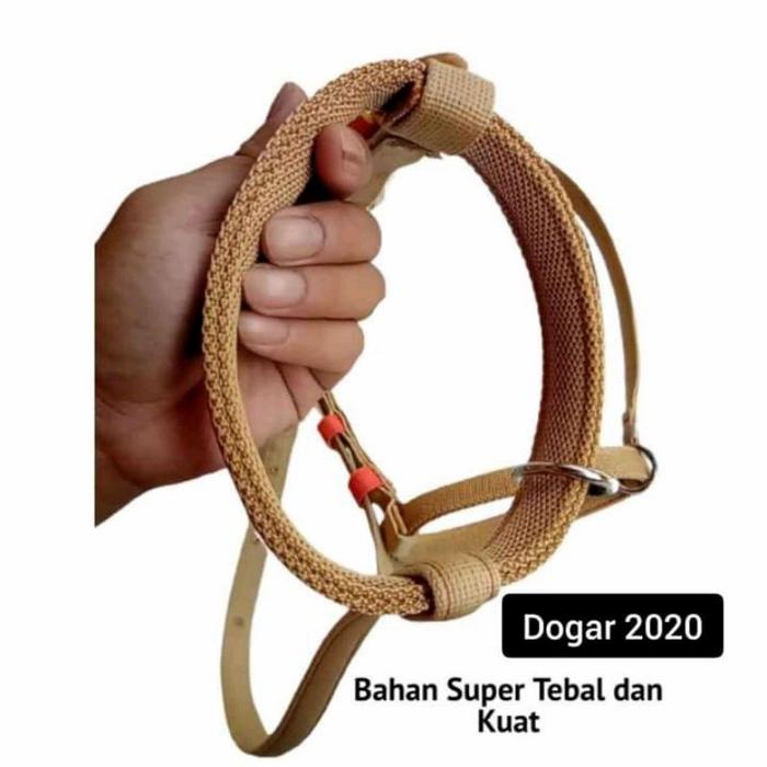 Jual BRANGUS SAPI HEAD HALTER / IKAT KEPALA SAPI. BRANGOS PRODUK ...
