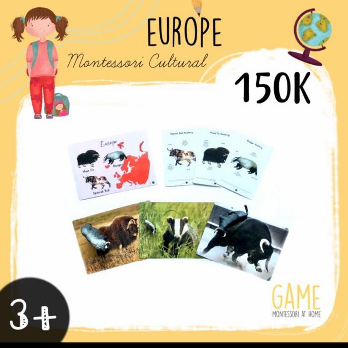 Jual Montessori Cultural Around the World Animals South Amerika set ...