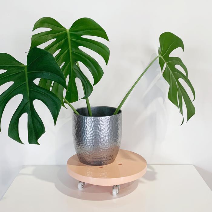 Jual Roda Pot Tanaman / Roda Kayu / Roda Handmade - ROTA 30 Rose ...