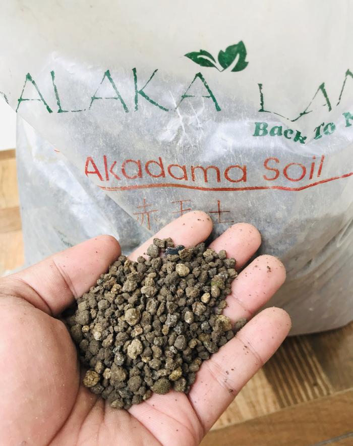 Jual Akadama soil 1 Liter - Kota Tangerang - Prolitestore | Tokopedia