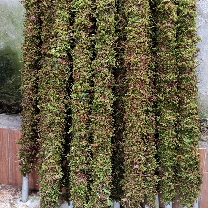 Jual turus lumut pipa tanpa kawat 120 cm - Kab. Cianjur - unique arya ...