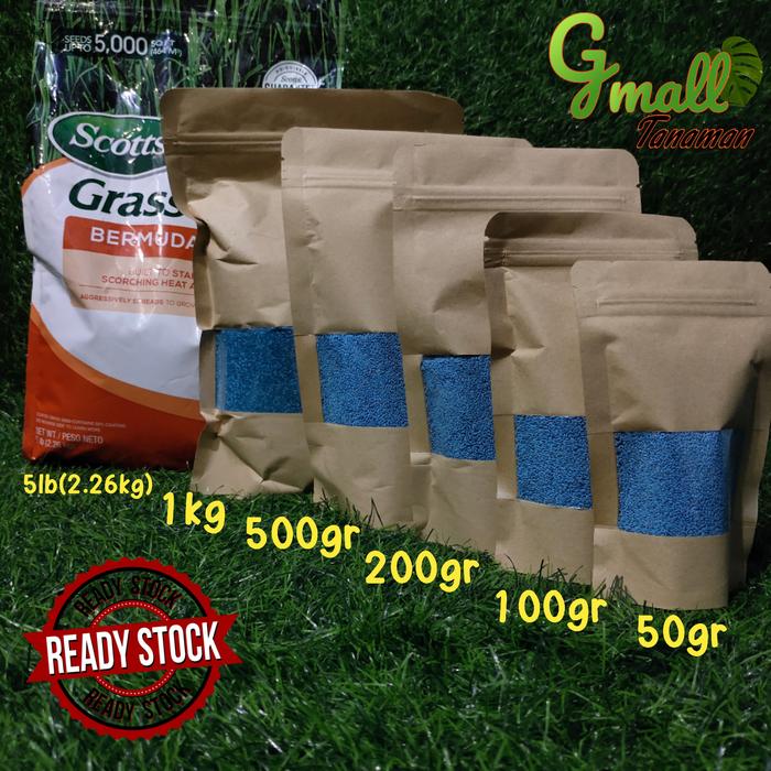 Jual Benih rumput jepang 50gr/biji rumput jepang scotts grass seed ...