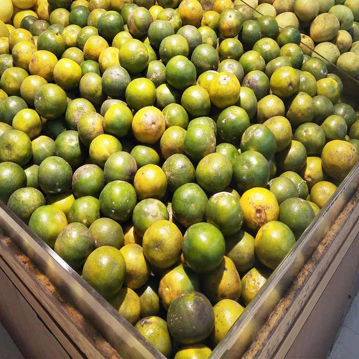 Jeruk Buah
