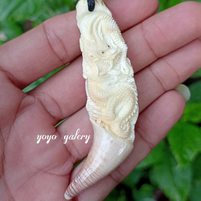 Jual Tarber taring be ruang - Kab. Bogor - Yoyo Galery | Tokopedia