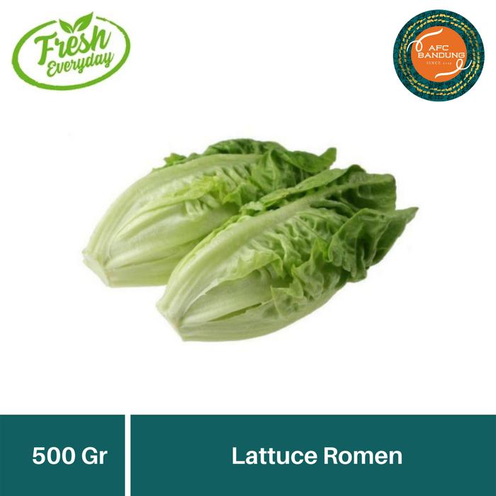 Jual Sayur Romen Sayuran Lettuce Roman Segar Romain 500gr - Kota Bandung - afcbandung | Tokopedia
