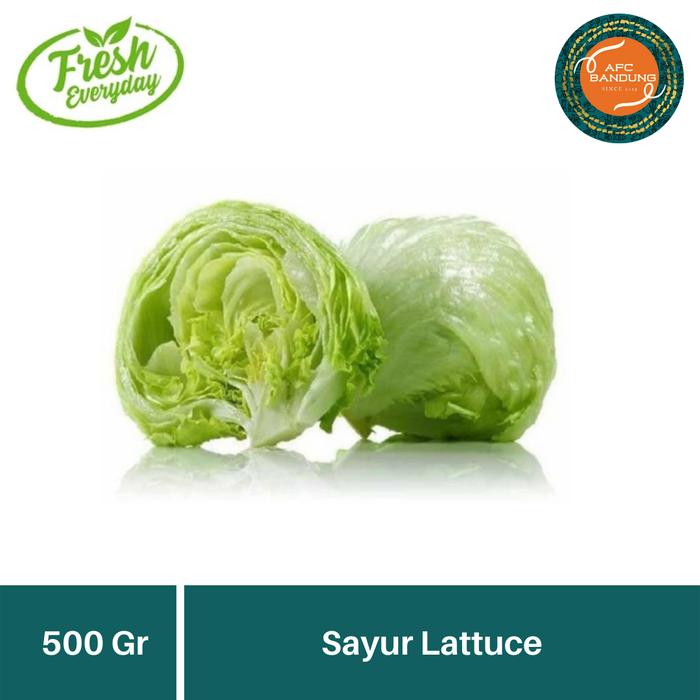Jual Sayur Lettuce 500gr Letuce Sayur Kebab Lotus Salad 500gr - Kota ...