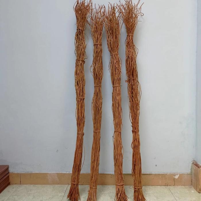 Promo 100 batang ranting kering / akar Manon / akar mantau / akar ...