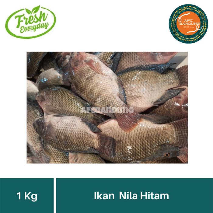 Jual Ikan Nila Hitam Segar Fresh 1kg Ikan Mujair 1 kg - Kota Bandung ...