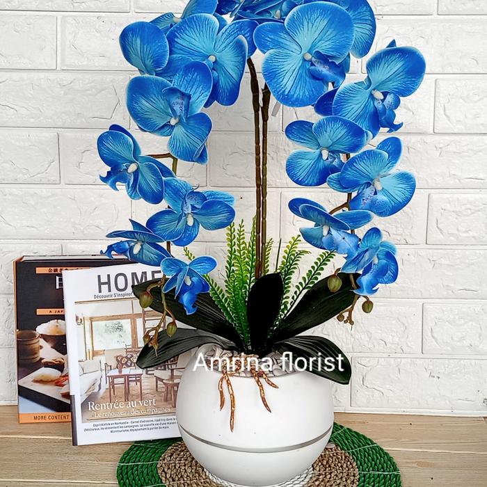 Sketsa Bunga Anggrek