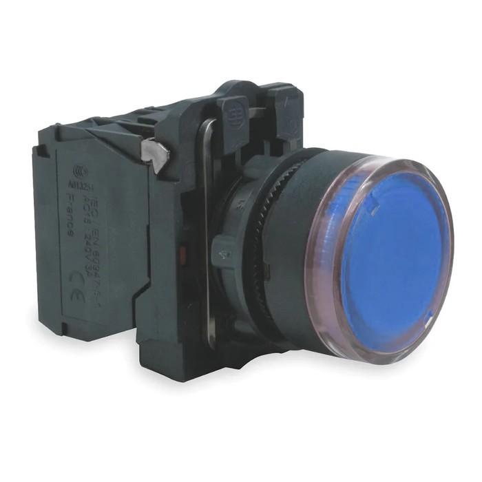 Jual SCHNEIDER ILLUMINATED PUSHBUTTON PLASTIK BIRU 24VAC DC XB5AW36B5 ...