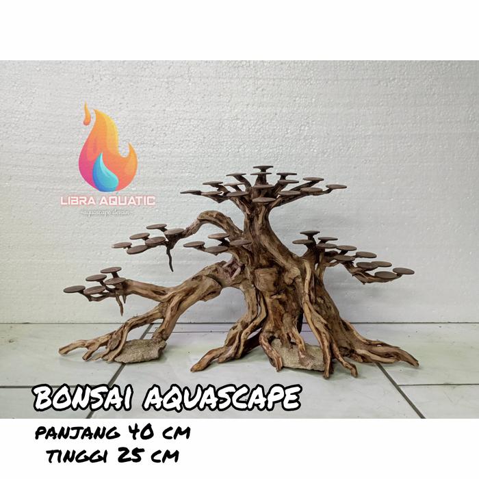 Jual BONSAI AQUASCAPE UKURAN XL FREE MOSS - Kota Tangerang Selatan ...
