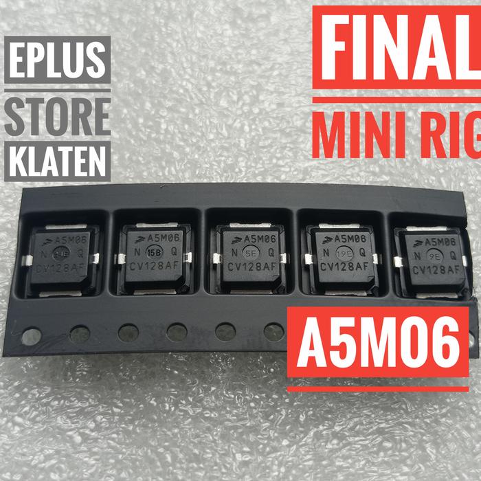 Jual Final Rig Mini A5m06 Aft05ms006nt1 Rig Mini 8900 Dualband 30w ...