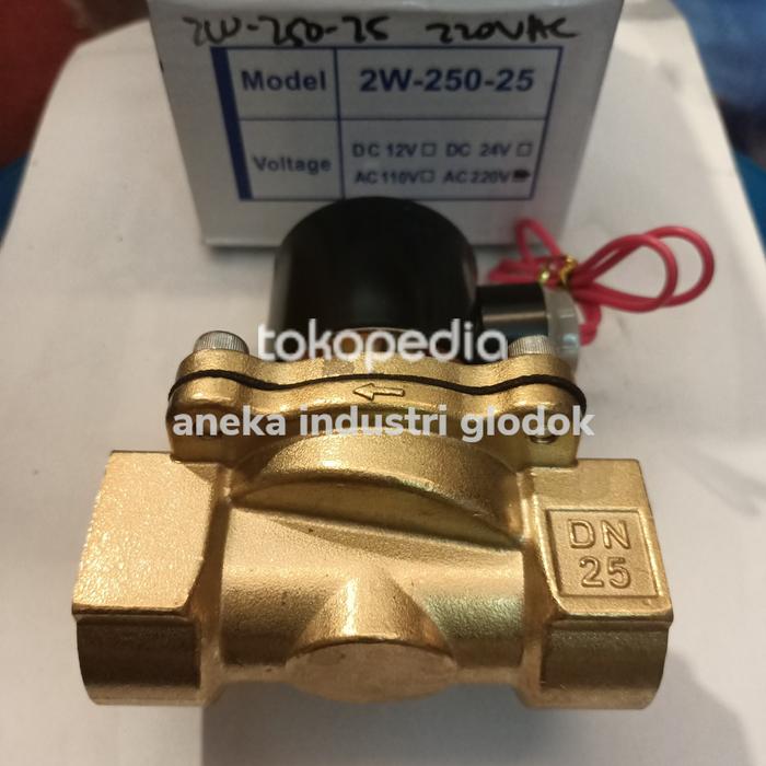 Jual solenoid valve 2 way 1 inch 2W-250-25 - Jakarta Barat - aneka industri glodok | Tokopedia