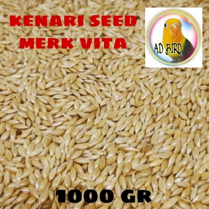 Jual PAKAN MAKANAN BURUNG HARIAN KENARI SEED CANARY SEED VITA REPACK 1 ...