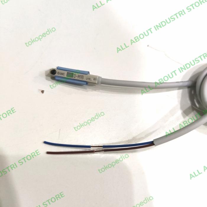 Jual RED SWITCH D-M9B SMC / D M9B MOUNTING STYLE DM9B REED SENSOR ...