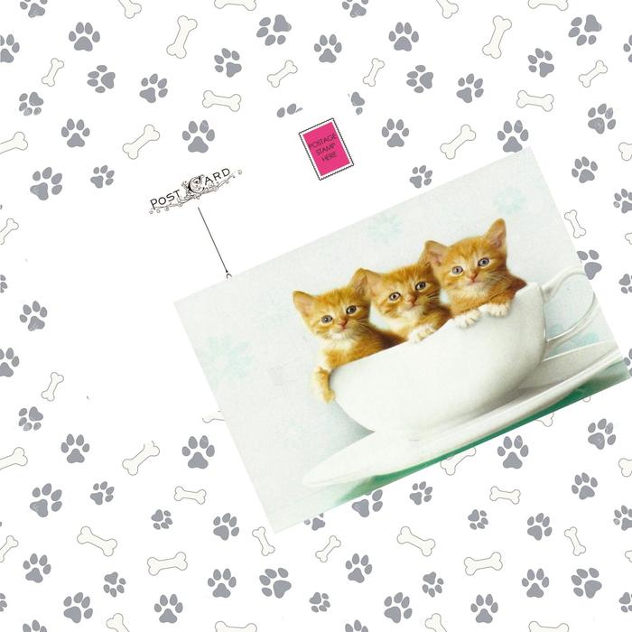 Jual MC- Kartu pos Kartupos Kucing / Cat Postcard - H - Jakarta Timur ...