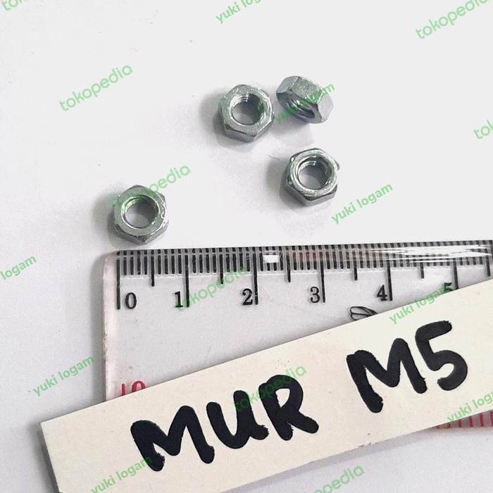 Jual 50 pcs Mur M5 - Kota Surabaya - Yuki setyawardhana | Tokopedia