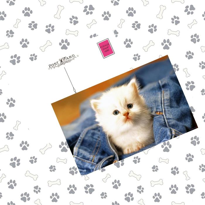 Jual MC- Kartu pos Kartupos Kucing / Cat Postcard - H - Jakarta Timur ...