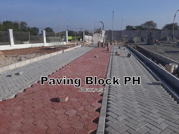 Jual Paving Block Hexagonal (Segienam) K 300 - tebal 6 cm, Hitam - Kab ...