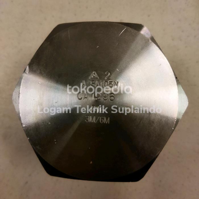 Jual Plug Besi Class 3000 Drat NPT Uk 2 Inch / Plug Class 3000 - A105 ...