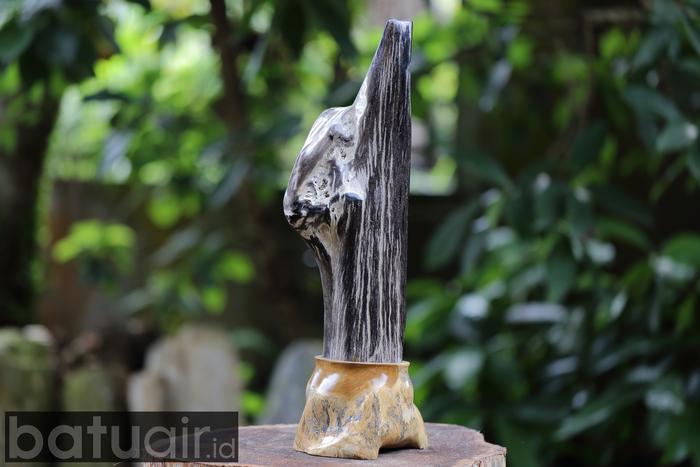 Jual Petrified Wood; Fosil Kayu; "Porcelain One" - Kota Bekasi - Batu ...