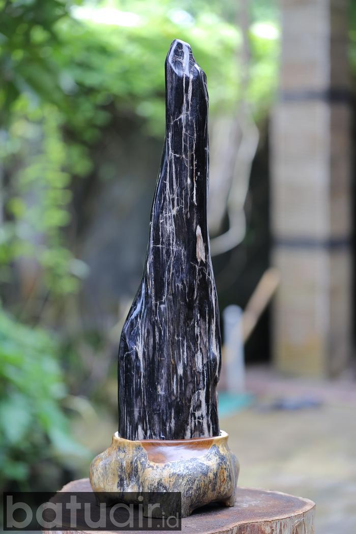 Jual Petrified Wood; Suiseki; Fosil Kayu "Porcelain Tower" - Kota ...