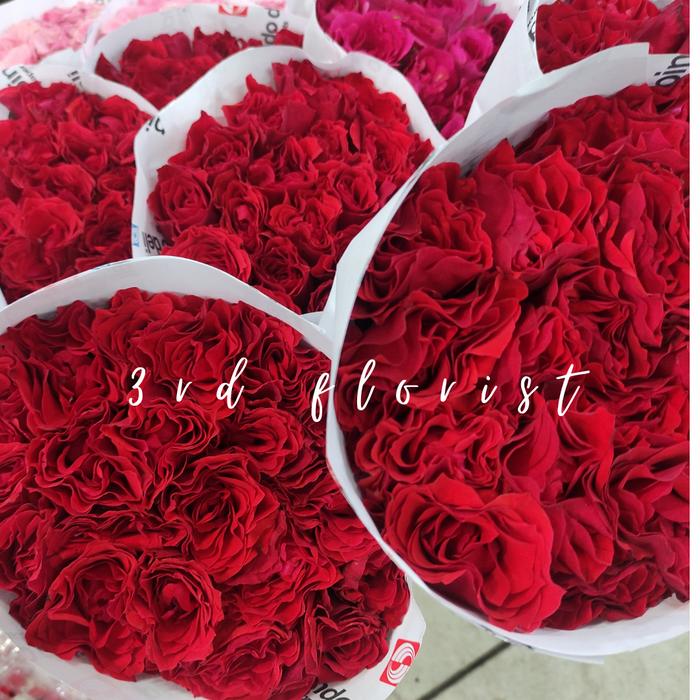 Jual Bunga Mawar Malang Merah Bata (Bunga Potong Segar Jakarta ...