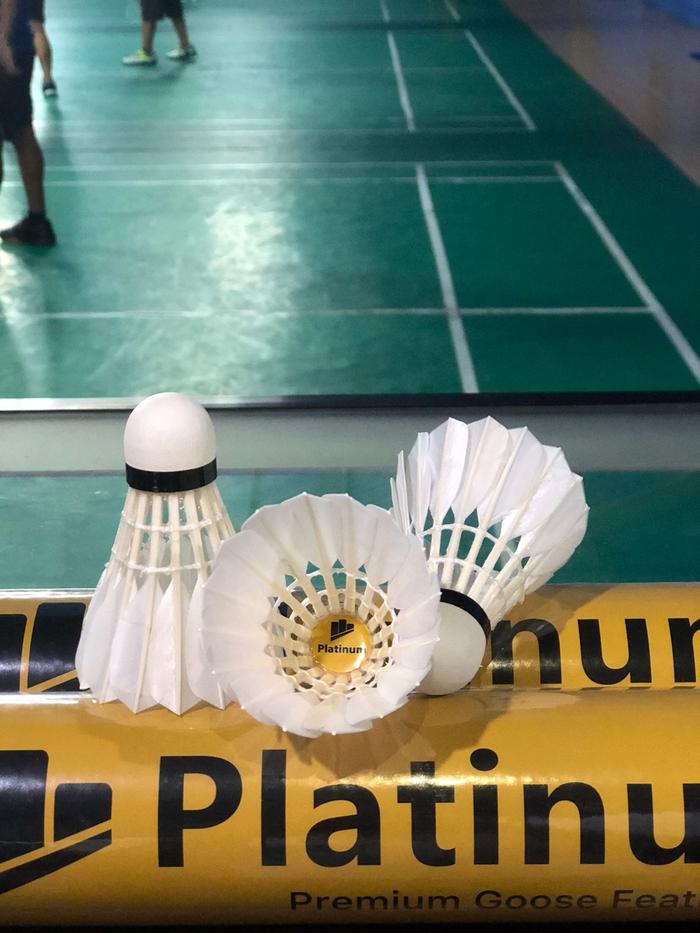 Jual Shuttlecock Cock Badminton Premum Platinum Gold Di Seller Gd Id ...
