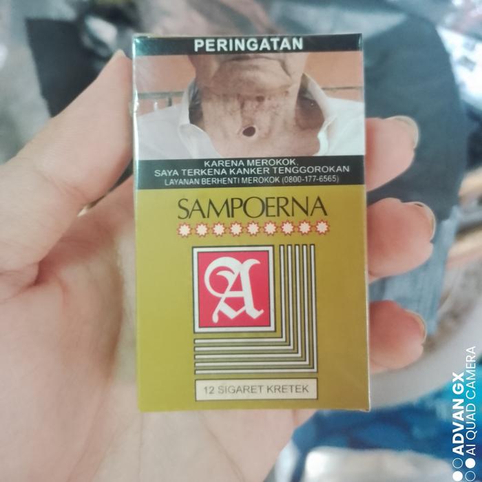 Jual Rokok SAMPOERNA hijau kretek (aga) - 1 pcs (12 batang) - Kota ...