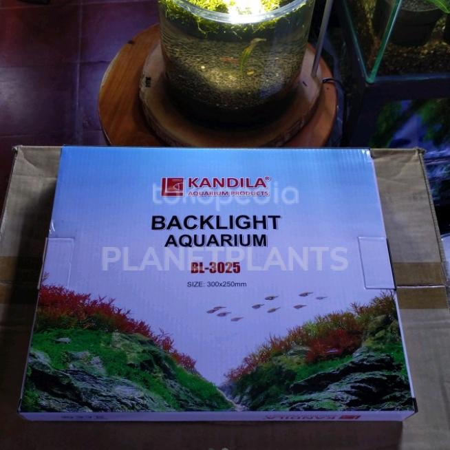 Jual KANDILA BACKLIGHT BACKGROUND AQUARIUM 30X25CM AQUASCAPE - Jakarta ...