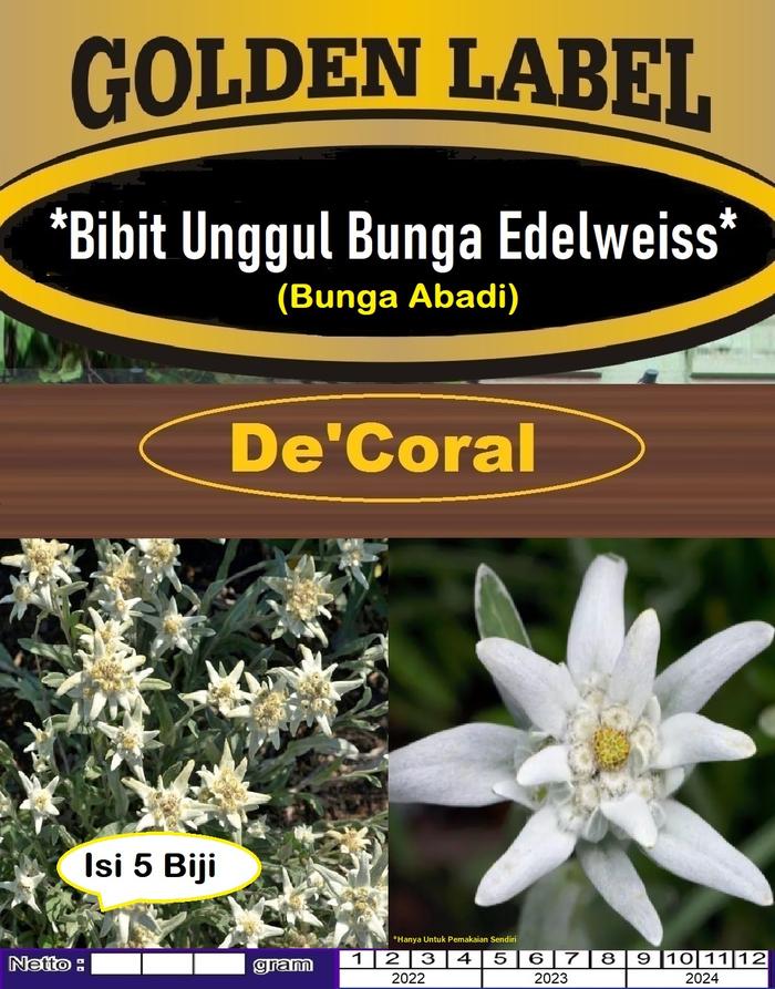 Jual Bibit Ungggul Bunga Edelweiss Bunga Abadi|Biji Benih Bunga ...