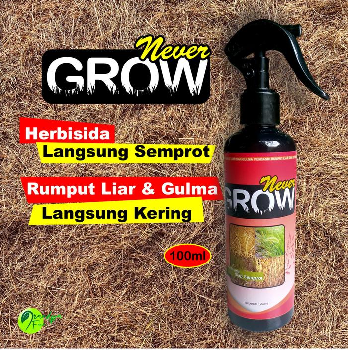 Jual NeverGrow Obat Rumput Liar Siap Semprot.Pembasmi Rumput Sampai ke ...