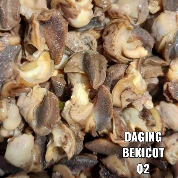 Jual daging bekicot - Kota Surabaya - Tina Shop5758 | Tokopedia