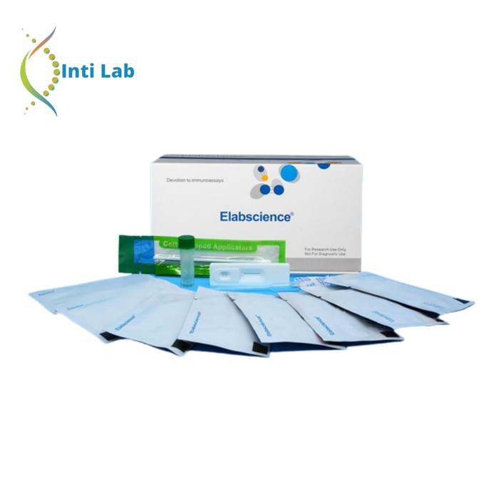 Jual ELABSCIENCE Canine Toxoplasmosis Antibodies Lateral Flow Assay Kit ...