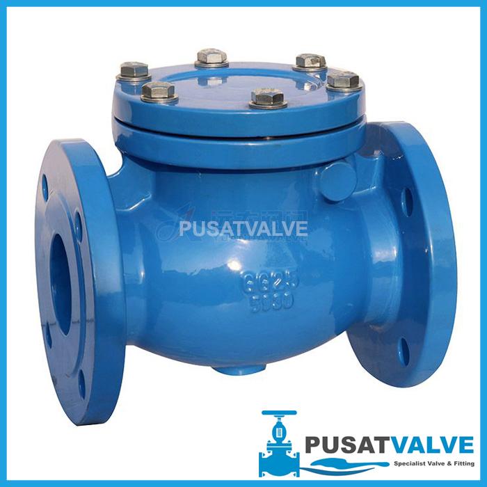 Jual 4 inch Swing check valve Cast iron JIS10k - Jakarta Barat - PUSAT ...