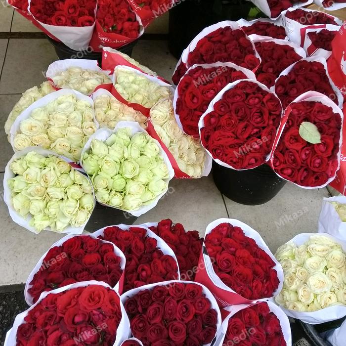 Jual bunga mawar potong asli segar - Jakarta Barat - Mikasa | Tokopedia
