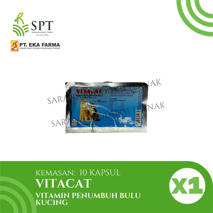 Jual EKA FARMA VITACAT VITAMIN PERTUMBUHAN BULU KUCING CAT PENYAKIT ...