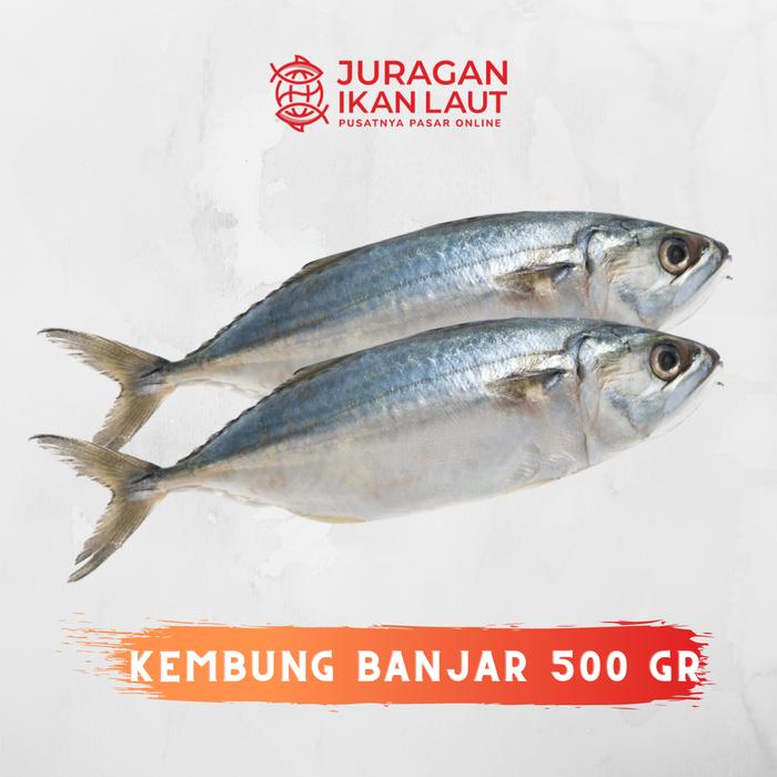Jual Ikan Kembung Banjar Segar - 500 Gram - Jakarta Selatan - JURAGAN ...