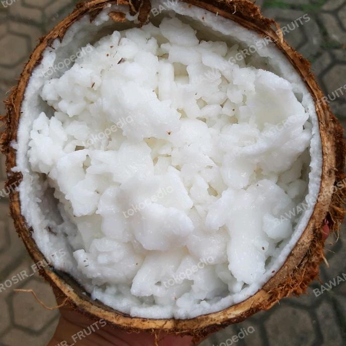 Jual [TERMURAH] Kelapa Kopyor JUMBO XXL-puan coconut Fresh - Jakarta ...