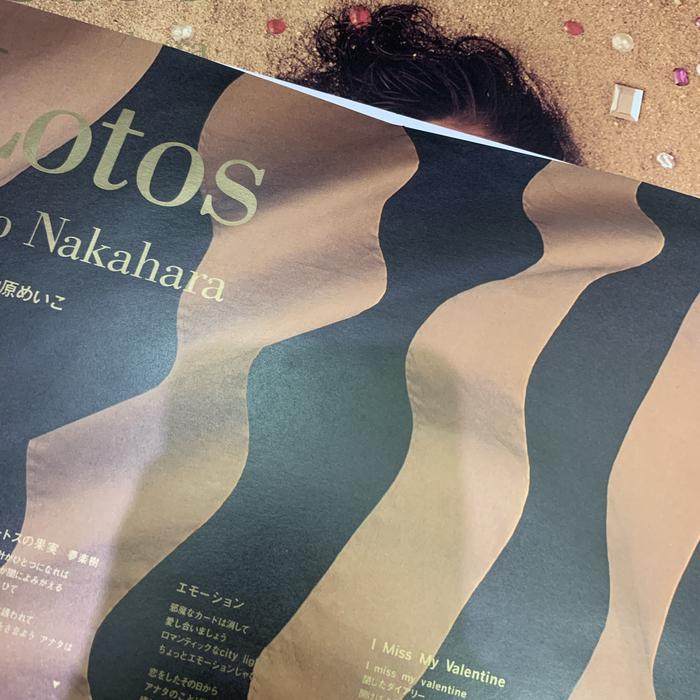 Jual Vinyl Meiko Nakahara Album Lotos Di Seller Noelle - Cengkareng ...