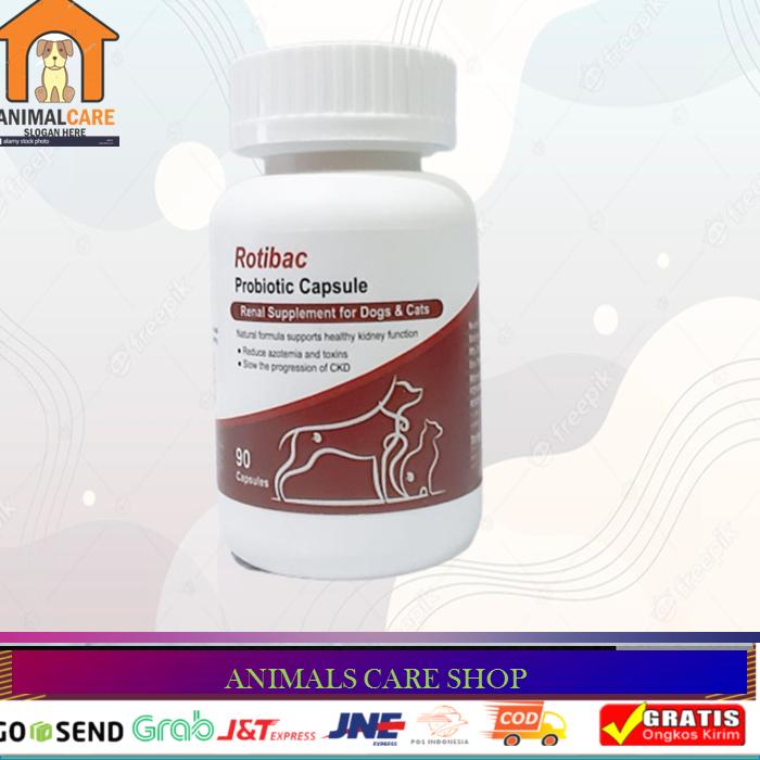 Jual Rotibac Suplemen Ginjal Ampuh Isinya Sama Azodyl/ renacor original ...