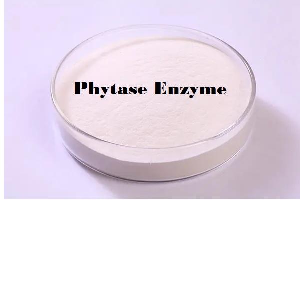 Jual Enzim fitase Powder 20 gram ( Phytase Enzyme Powder 20 gram ...