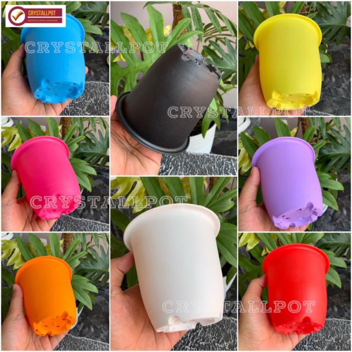 Jual Pot Tanaman Hias Bunga Mini Warna Warni NKT Kaktus 10cm Dekorasi ...