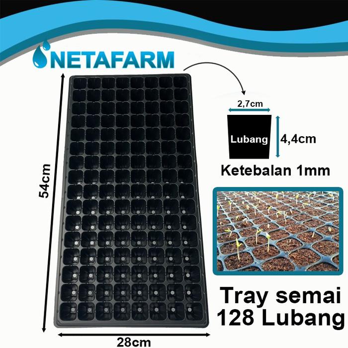 Jual Tray Semai 128 Lubang Traypot Pot Seed Tray Biji Bibit Hidroponik ...